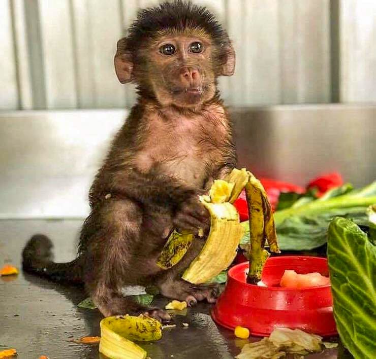 Freiwilligenarbeit: So findest du nachhaltige Projekte [Guide]